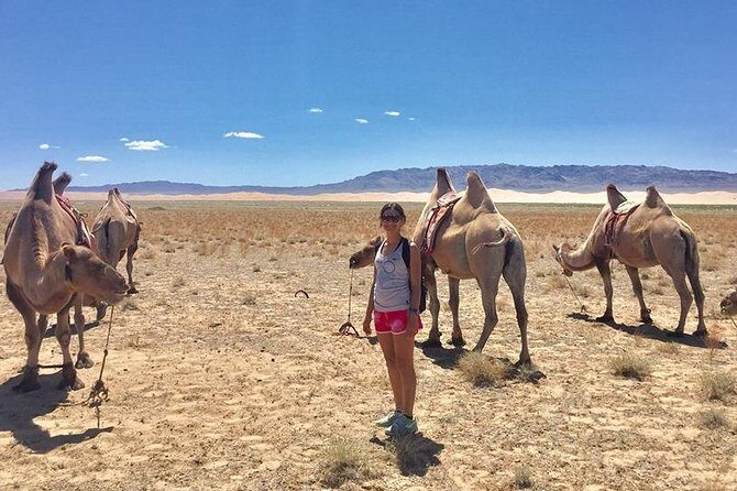 2D,1N Gobi desert and Old city Kharkhorum stay with Nomadic family - Practical Considerations and Value