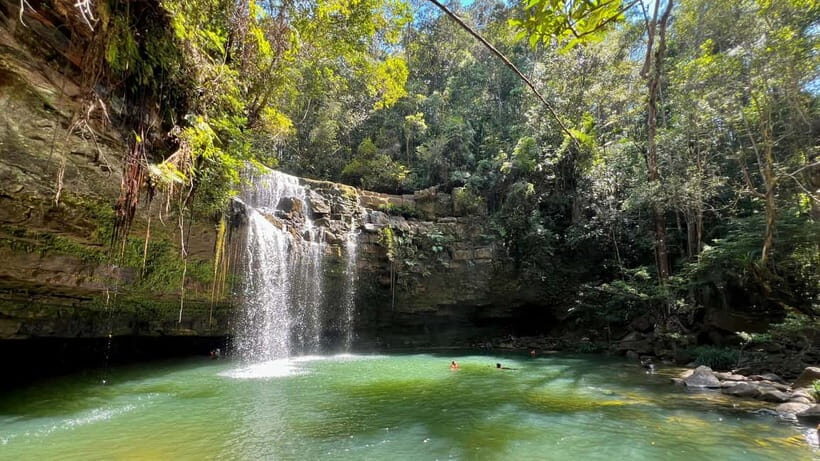 2D1N Jungle Hike to 2 Waterfall with a 4x4 Journey - Discover the 2D1N Jungle Hike to 2 Waterfalls with a 4x4 Journey