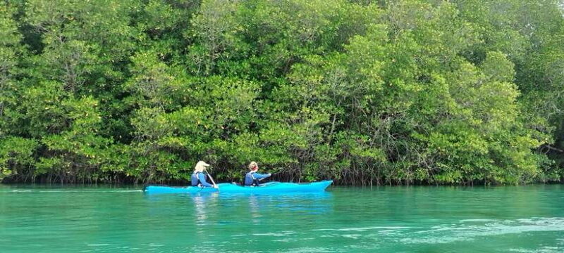 2D1N Komodo Kayak Tour - Day 2: Wildlife & Marine Wonders