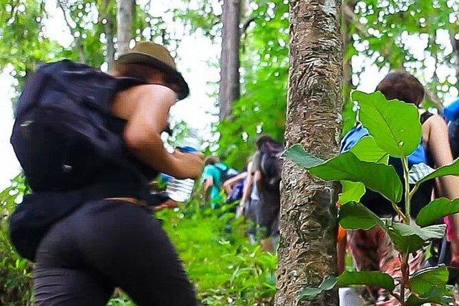 2D1N Mae Wang National Park Jungle Trekking Adventure from Chiang Mai - In-Depth Look at the Tour