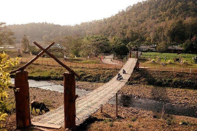 2D1N Mae Wang National Park Jungle Trekking Adventure from Chiang Mai - The Sum Up