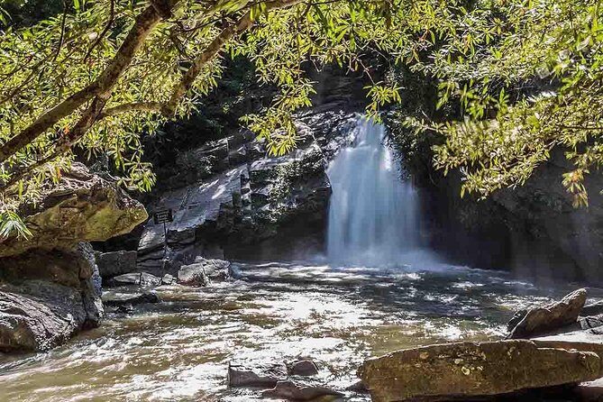2D1N Mae Wang National Park Jungle Trekking Adventure from Chiang Mai - A Detailed Look at the Itinerary