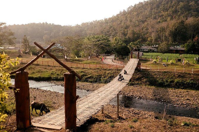 2D1N Mae Wang National Park Jungle Trekking Adventure from Chiang Mai - Who Should Consider This Tour?