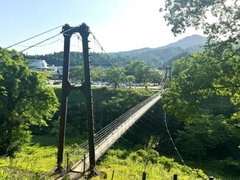 2D1N Niigata Summer Getaway:Enjoy the Gorgeous Fireworks Etc - Exclusions and Important Information