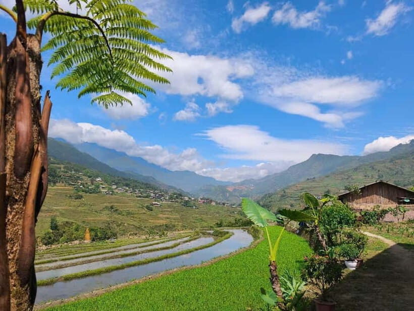 2D1N Trek: Ta Van & Lao Chai Rice Terrace Trails - Starting in Sa Pa and Visiting Y Lình Hổ