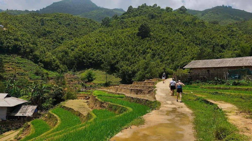 2D1N Trek: Ta Van & Lao Chai Rice Terrace Trails - Return to Sa Pa