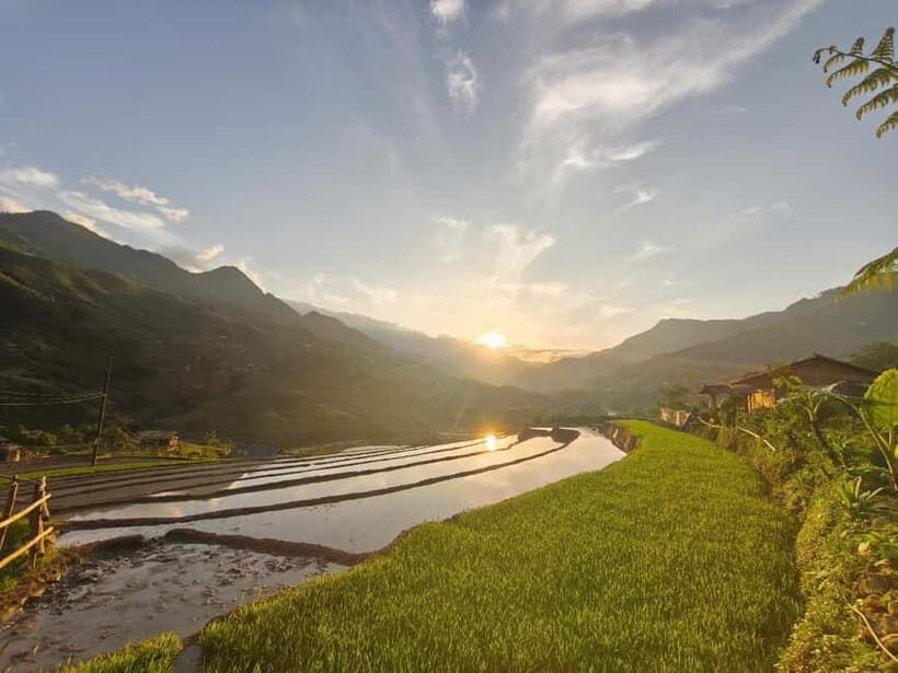2D1N Trek: Ta Van & Lao Chai Rice Terrace Trails - Considerations for Participants