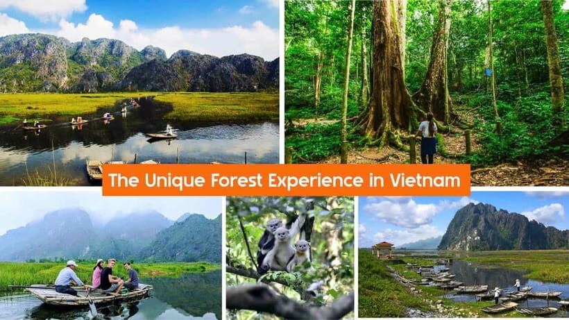 2Day Ninh Binh Private: Cuc Phuong-Van Long-Tam Coc-Mua Cave - Key Points