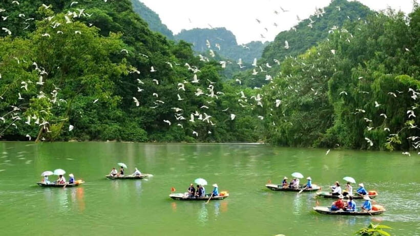 2Day Ninh Binh Private: Cuc Phuong-Van Long-Tam Coc-Mua Cave - FAQs