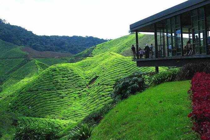 2Days 1Night Cameron Highland and Penang Island Private Tour from Kuala Lumpur - A Closer Look at the Itinerary: What to Expect on This Malaysia Tour