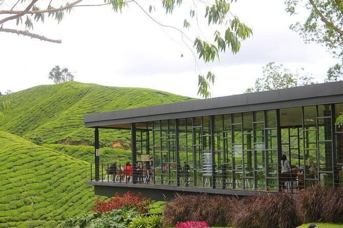 2Days 1Night Cameron Highland and Penang Island Private Tour from Kuala Lumpur - Who Will Enjoy This Tour Most?