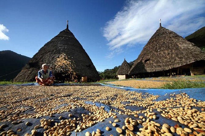 2Days - Cultural Tour to Wae Rebo Village - Is This Tour Worth It?