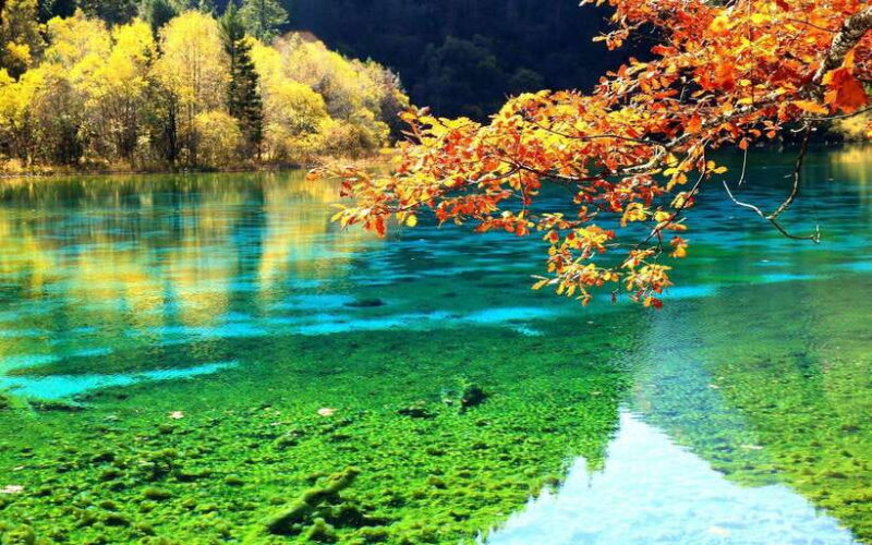 2days private tour to Jiuzhaigou and Huanglong - What’s Included and What’s Not