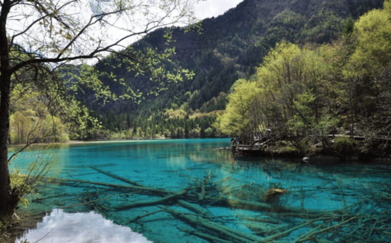2days private tour to Jiuzhaigou and Huanglong - Who Is This Tour Best Suited For?