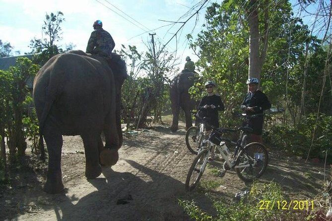 2Days tour to Nha trang from Dalat - What’s Included and What to Expect