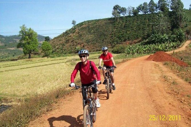 2Days tour to Nha trang from Dalat - The Experience in Practice: Pros and Cons