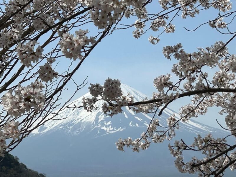 2Days1Night Private Tour Nagoya~Nagano~Tokyo Up To 10 Guests - Itinerary Highlights