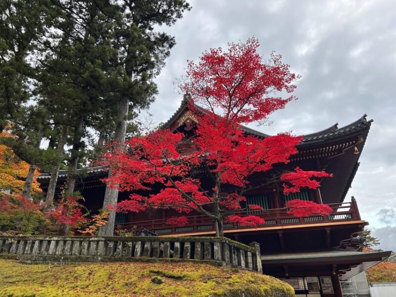 2Days1Night Private Tour Nikko and Aizu Up To 12 Guests - Booking and Cancellation Policy