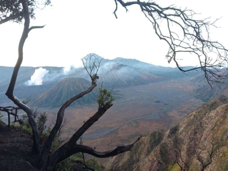 2Days1Nights Bromo midnight-Ijen crater drop Ketapang port - Who Will Love This Tour?