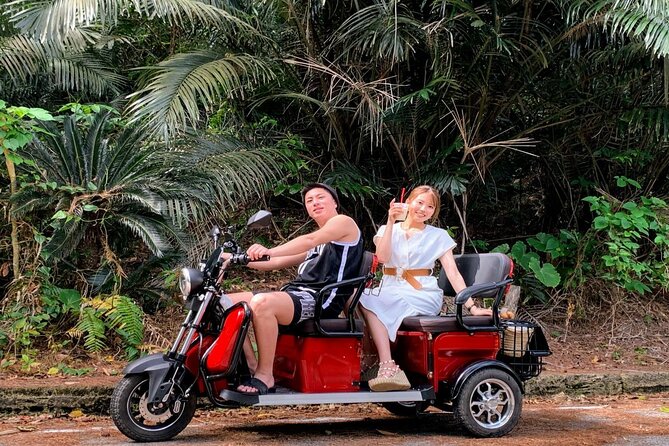 2h 3-Seater Electric Trike Rental (Ishigaki, Okinawa) - Customer Reviews and Feedback