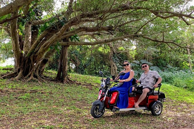 2h 3-Seater Electric Trike Rental (Ishigaki, Okinawa) - Rental Pricing and Inclusions
