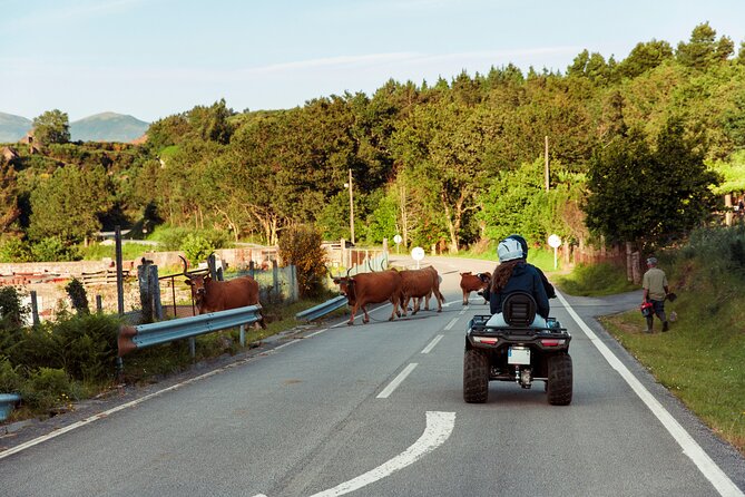 2h Quad Tour  Arcos de Valdevez  Peneda Gerês - Who Is This Tour Best For?