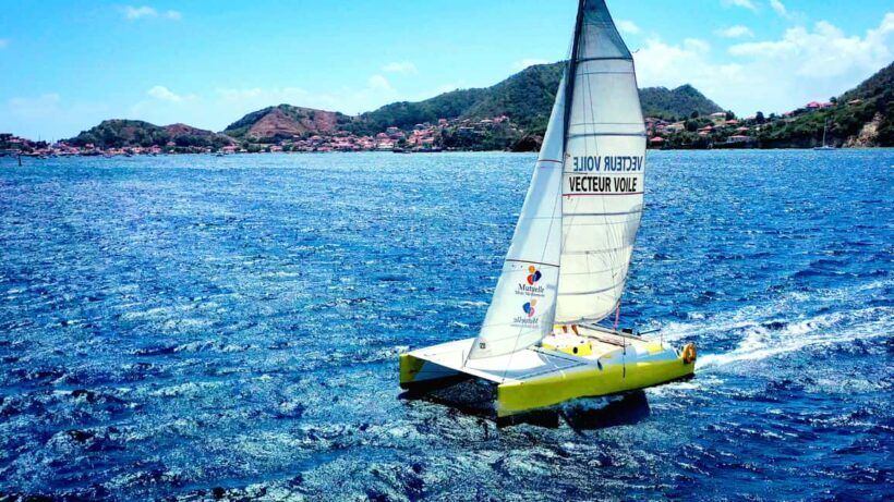 2h Sailing catamaran in La Baie des Saintes - Why This Tour Offers Great Value