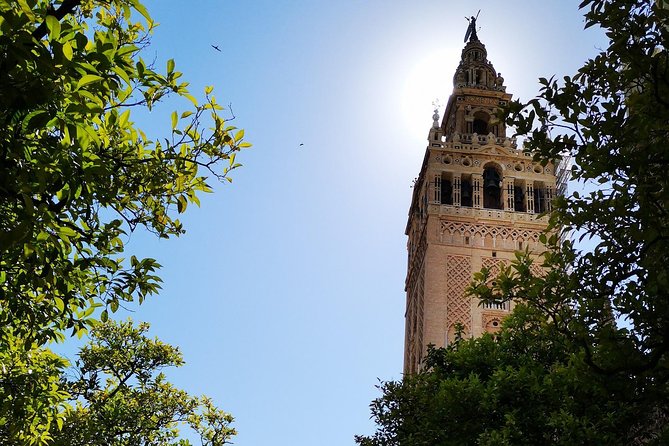2h30 Private Walking Tour of Seville With Local Guide - Accessibility and Participation