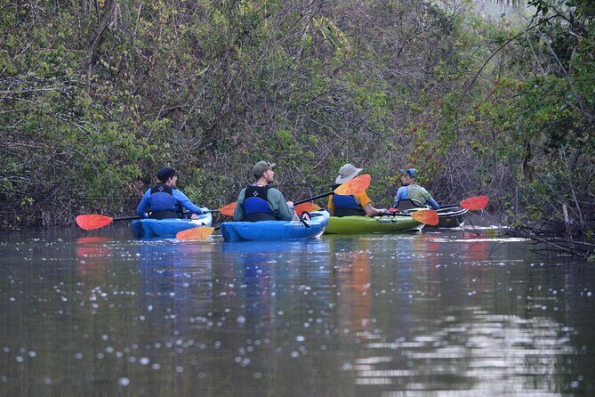 2Hour Everglades Kayak Safari Adventure Through Mangrove Tunnels - What to Expect During the Tour