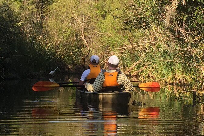 2Hour Everglades Kayak Safari Adventure Through Mangrove Tunnels - Practicalities: What You Need to Know