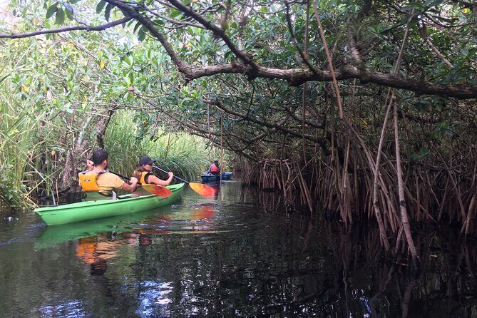 2Hour Everglades Kayak Safari Adventure Through Mangrove Tunnels - FAQs
