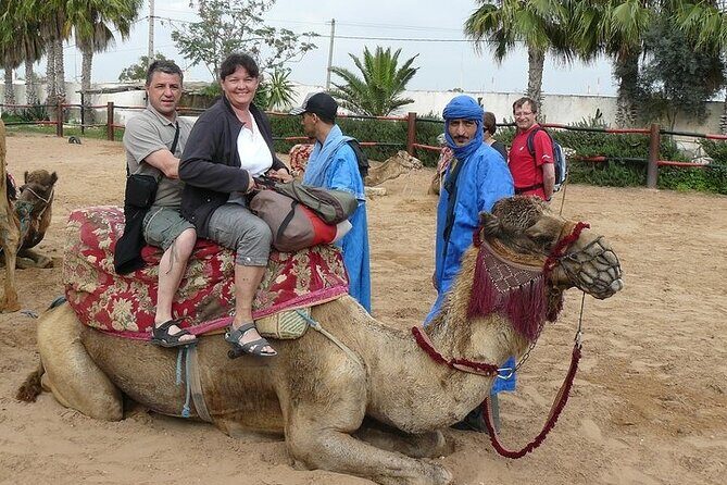 2Hours DE Quad + Comedy EN Tour and Crocoparc Tour - Key Points