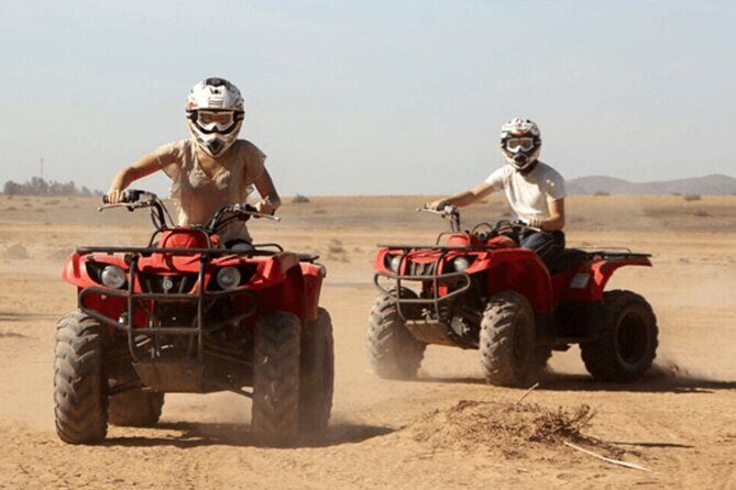 2Hours DE Quad + Comedy EN Tour and Crocoparc Tour - The Sum Up