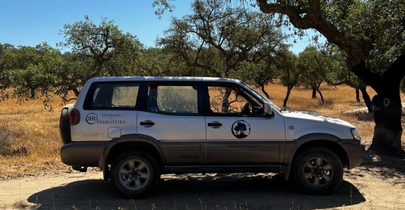 2hr Cork Tour in a Jeep - What Makes This Cork Tour Stand Out?