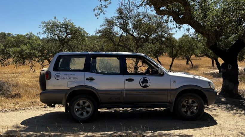 2hr Cork Tour in a Jeep - Deep Dive Into Cork Production