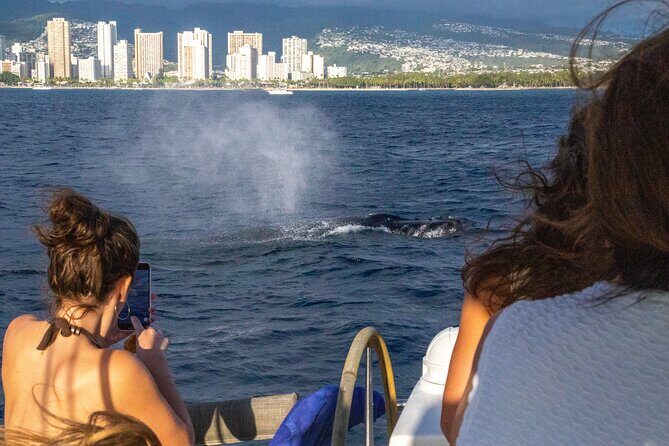 2hr Luxury Private Sailing Catamaran in Waikiki for 1-6 People - The Experience: What to Expect on Your Private Waikiki Sailing Adventure