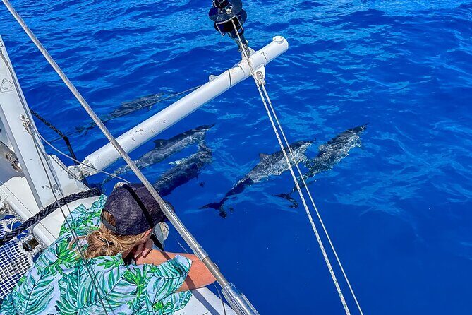 2hr Luxury Private Sailing Catamaran in Waikiki for 1-6 People - The Sum Up: Why Choose This Private Sailing Tour?