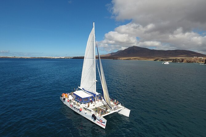 2hrs Dolphins Sunset Sailing Cruise With Drink - Customer Feedback and Experiences