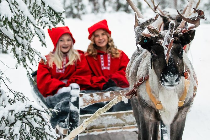 2km Sleigh Ride & Feeding Experience at Traditional Reindeer Farm - Key Points