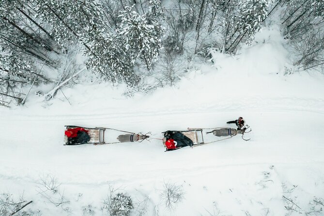 2km Sleigh Ride & Feeding Experience at Traditional Reindeer Farm - Final Thoughts: Who Will Love This?