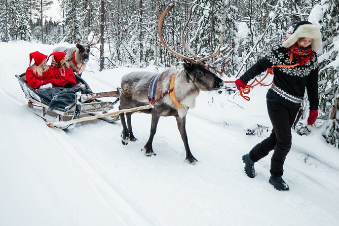 2km Sleigh Ride & Feeding Experience at Traditional Reindeer Farm - Frequently Asked Questions