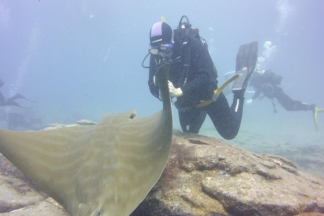 2x Diving Package, on Request Including Refreshment - Safety and Accessibility Information