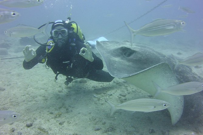 2x Diving Package, on Request Including Refreshment - Since You Asked