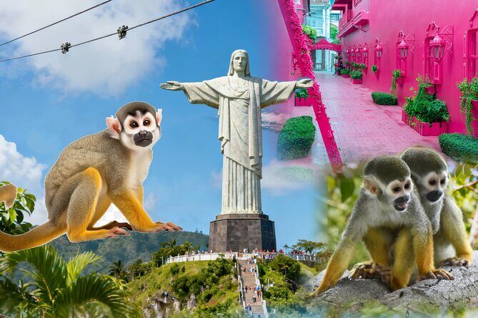 2x1: City Tour & Monkey Encounter tour combo Puerto plata - Exploring Puerto Plata’s Natural and Cultural Charms