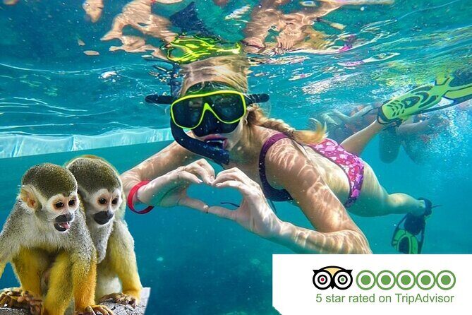 2X1: Snorkeling Tour tour plus MonkeyLand Puerto Plata - Exploring the Itinerary: What to Expect