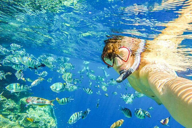 2X1: Snorkeling Tour tour plus MonkeyLand Puerto Plata - Authentic Experiences that Stand Out