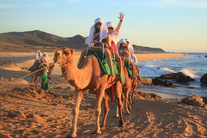 2x1 Tour: Cabo San Lucas Arch + Camels Ride + Pick up! - FAQ