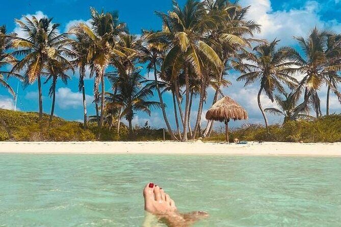 2x1 Tour: Isla Contoy, Isla Mujeres, Open Bar, Lunch and Transfers - Final Summary: Is This Tour Right for You?