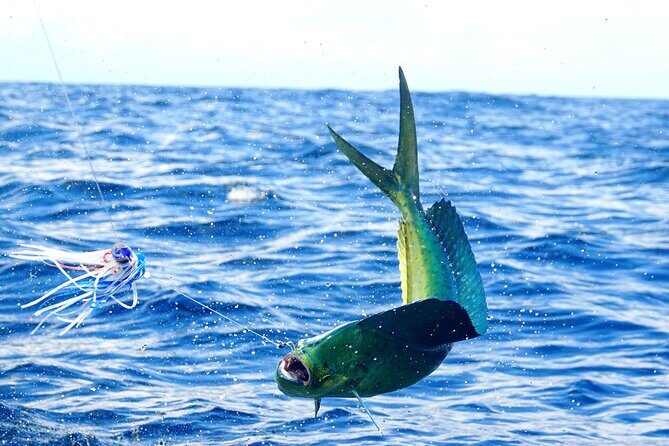 3/4 Day 7 Hour Offshore Fishing Charter - Who Should Consider This Tour?
