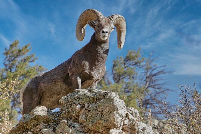 3/4 Day Rocky Mountain NP "Mountain to Sky+Bear Lake Rd" Tour - RMNPhotographer - Practical Details and Value